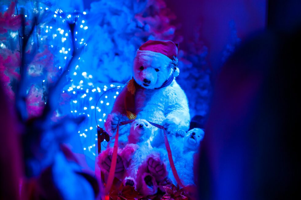 Gallery - Christmas Grotto